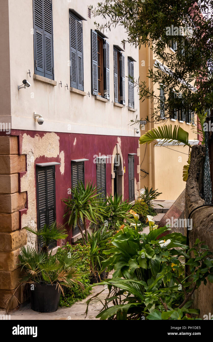 Gibraltar, Upper Town, Castle Ramp, plants lining back street, outside ...