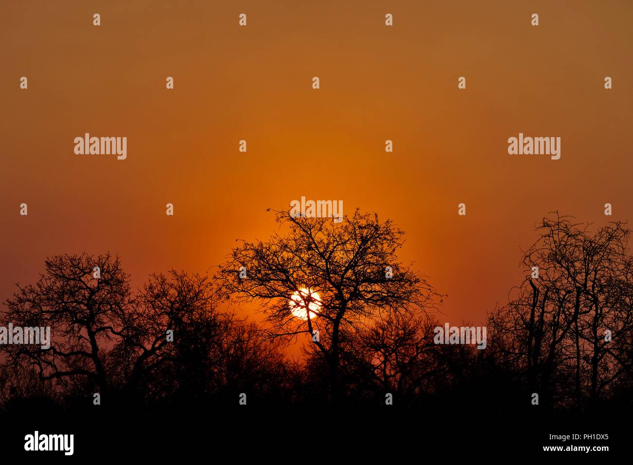 Beautiful african bright sunset hi-res stock photography and images - Alamy