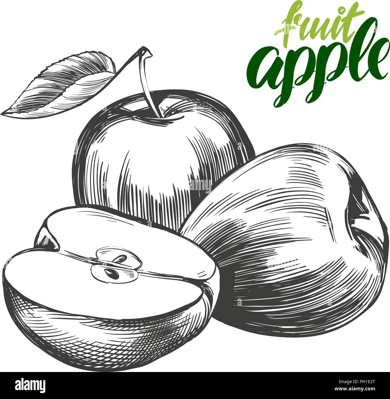 Apple Fruit Drawing