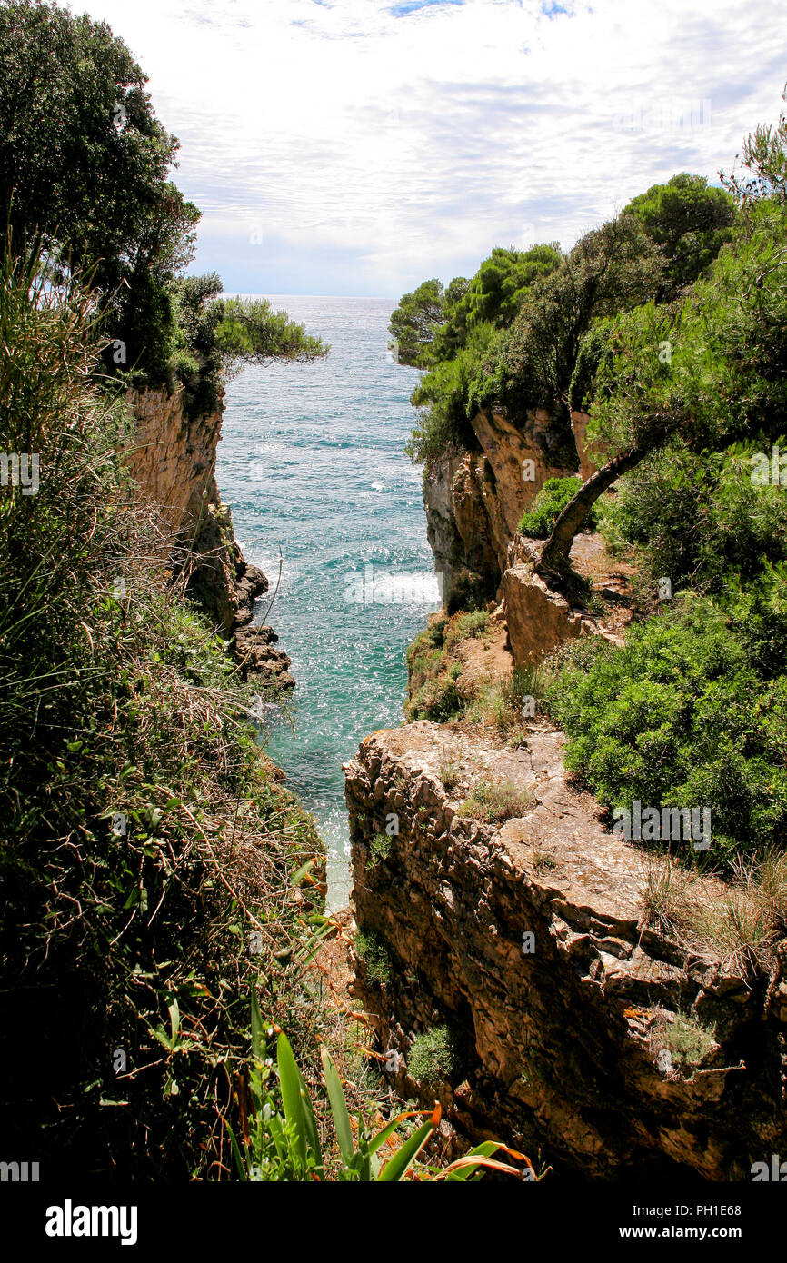 View of Verudela Pula, Croatia coasline. Bay and crystal clear water of ...