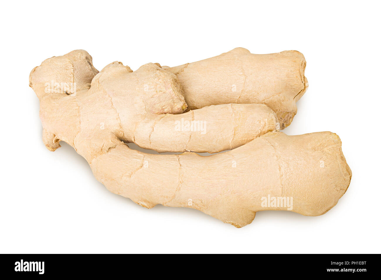 ginger, isolated on white background, clipping path, full depth of ...