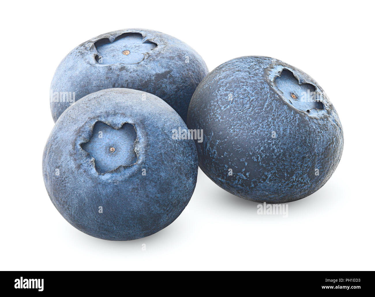 blueberry, clipping path, isolated on white background, full depth of ...