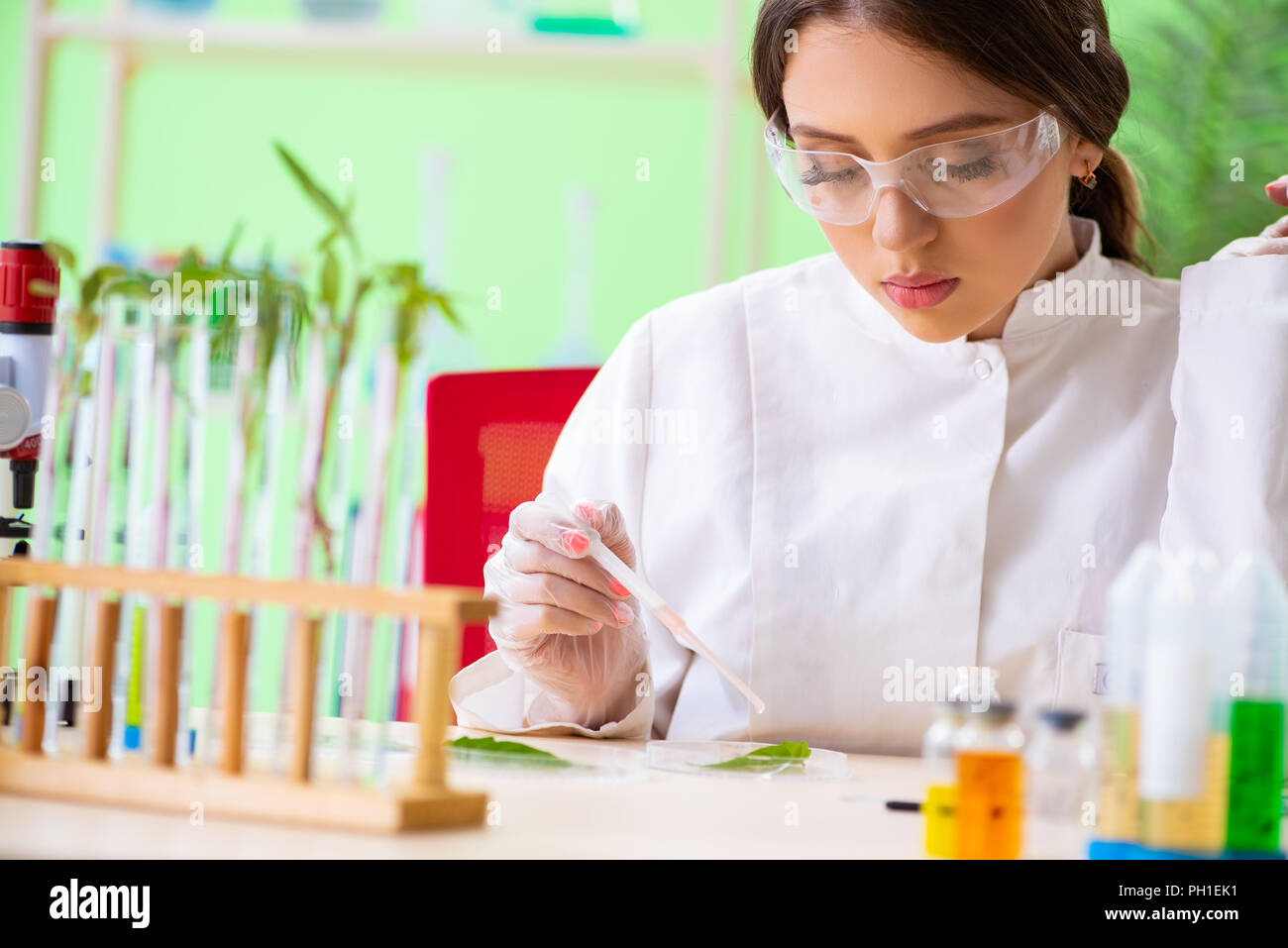 Female scientist analyzing liquid extract hi-res stock photography and ...