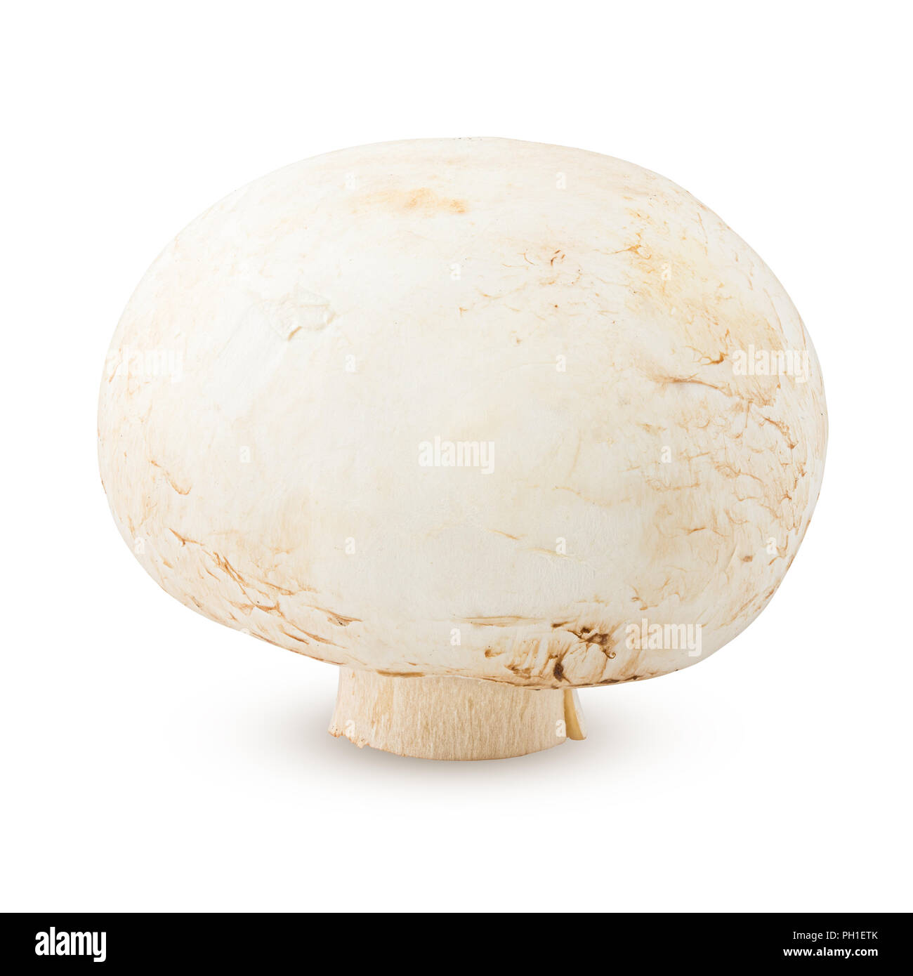 mushroom, champignon, isolated on white background, clipping path, full ...