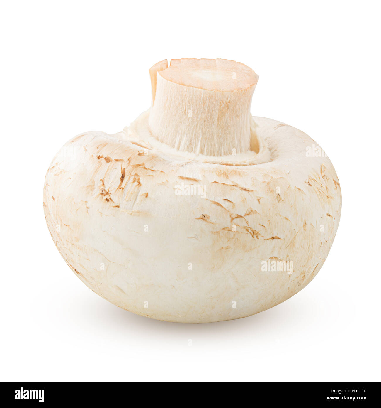 mushroom, champignon, isolated on white background, clipping path, full ...