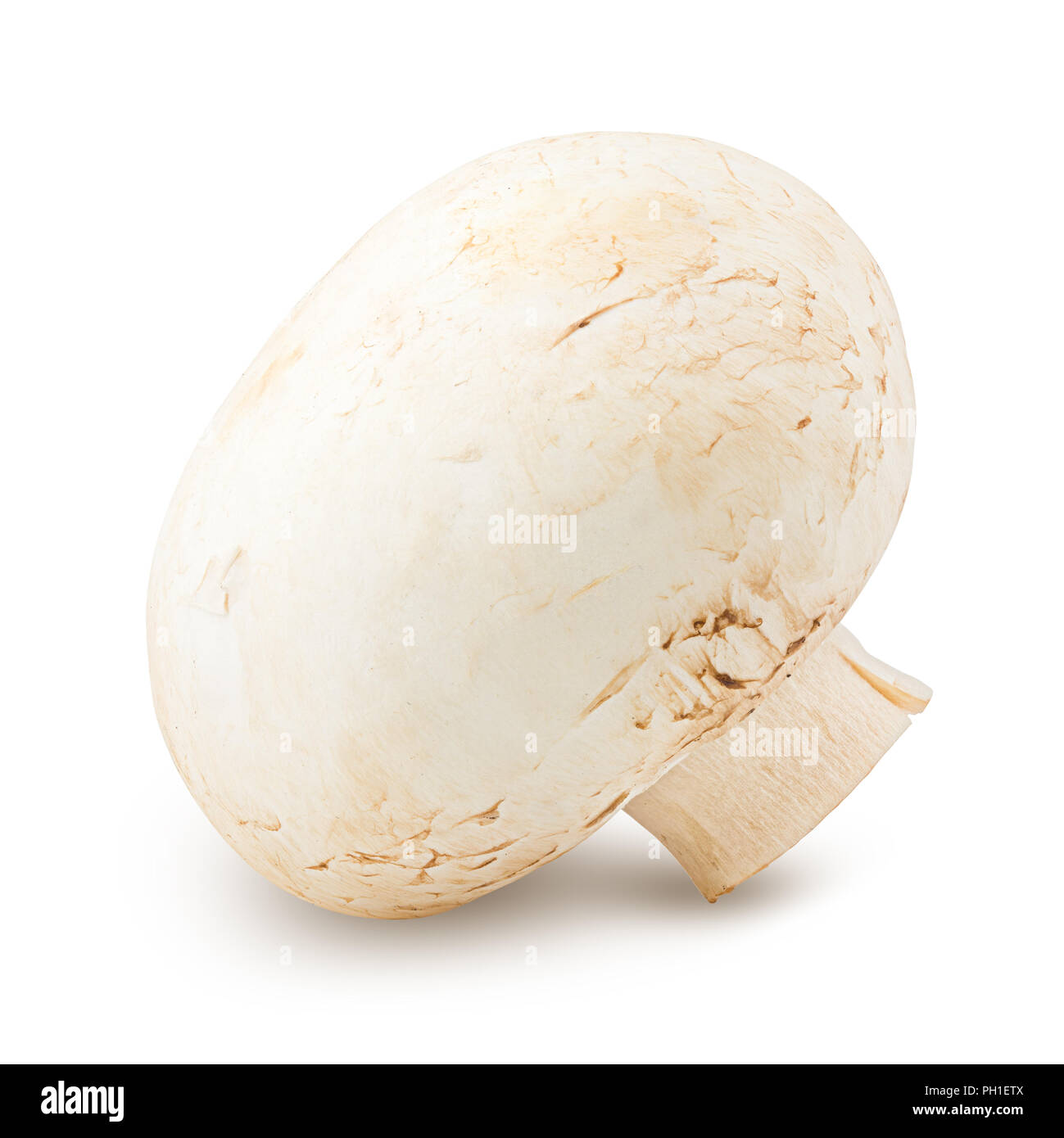 mushroom, champignon, isolated on white background, clipping path, full ...