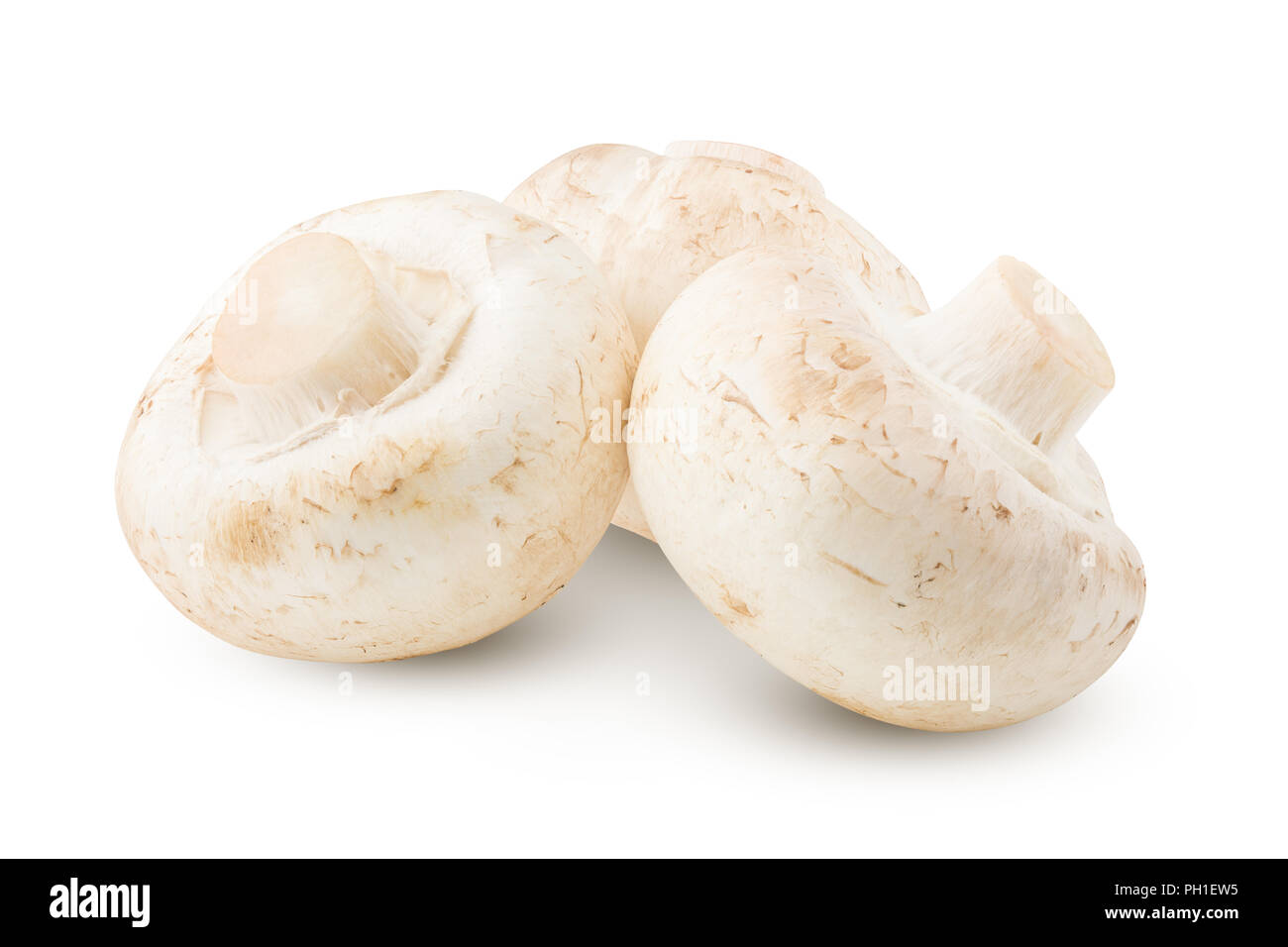 mushroom, champignon, isolated on white background, clipping path, full ...