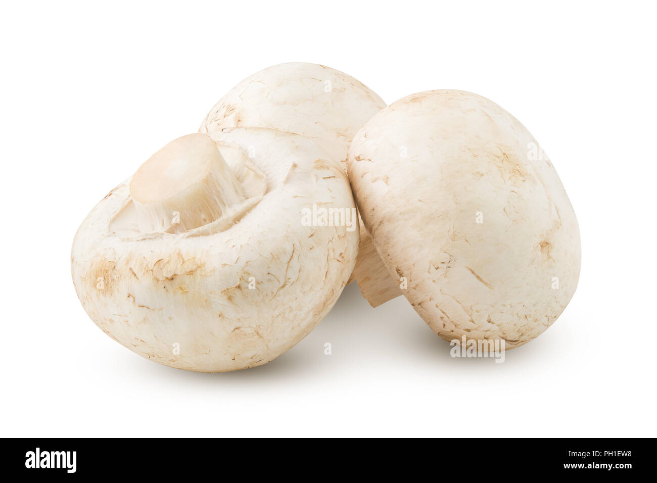 mushroom, champignon, isolated on white background, clipping path, full ...