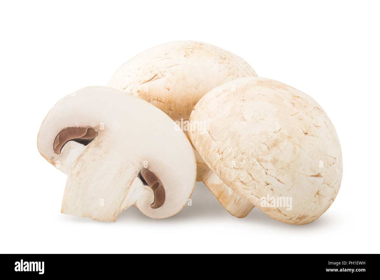 mushroom, champignon, isolated on white background, clipping path, full ...