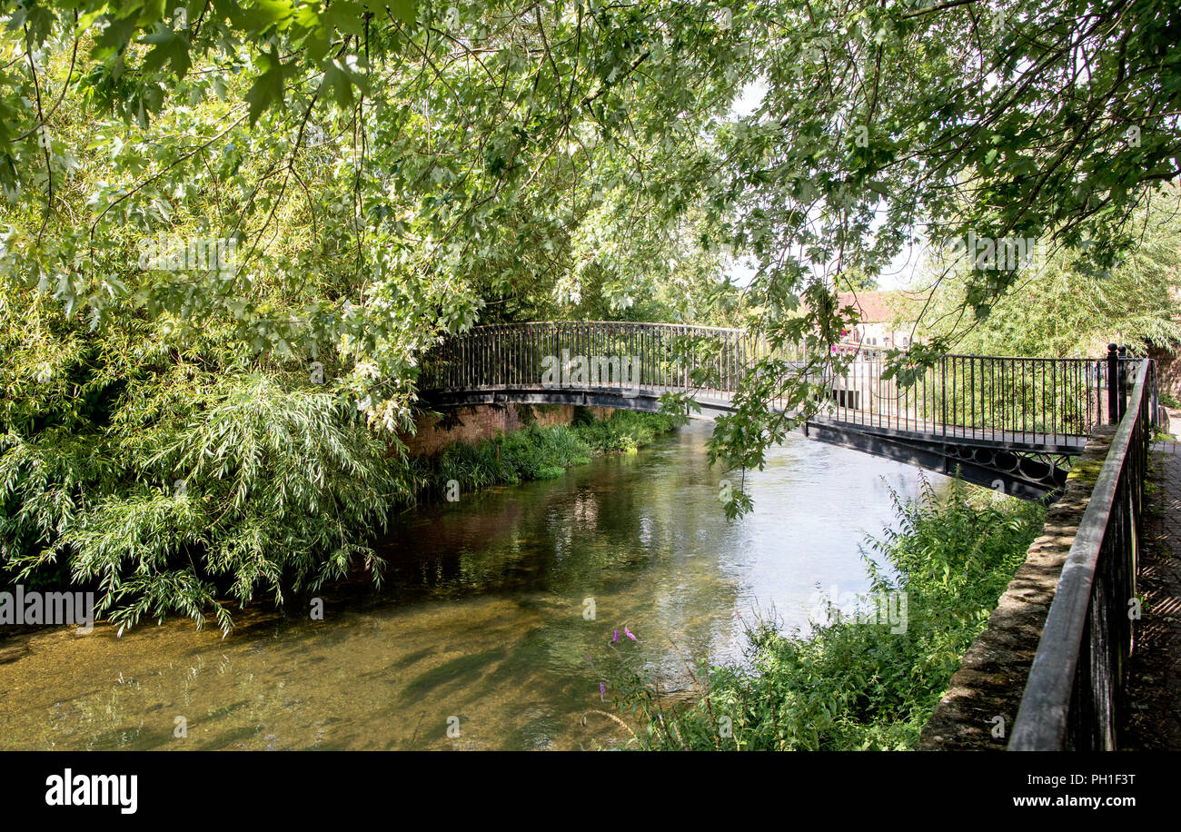 Salisbury gardens hi-res stock photography and images - Alamy