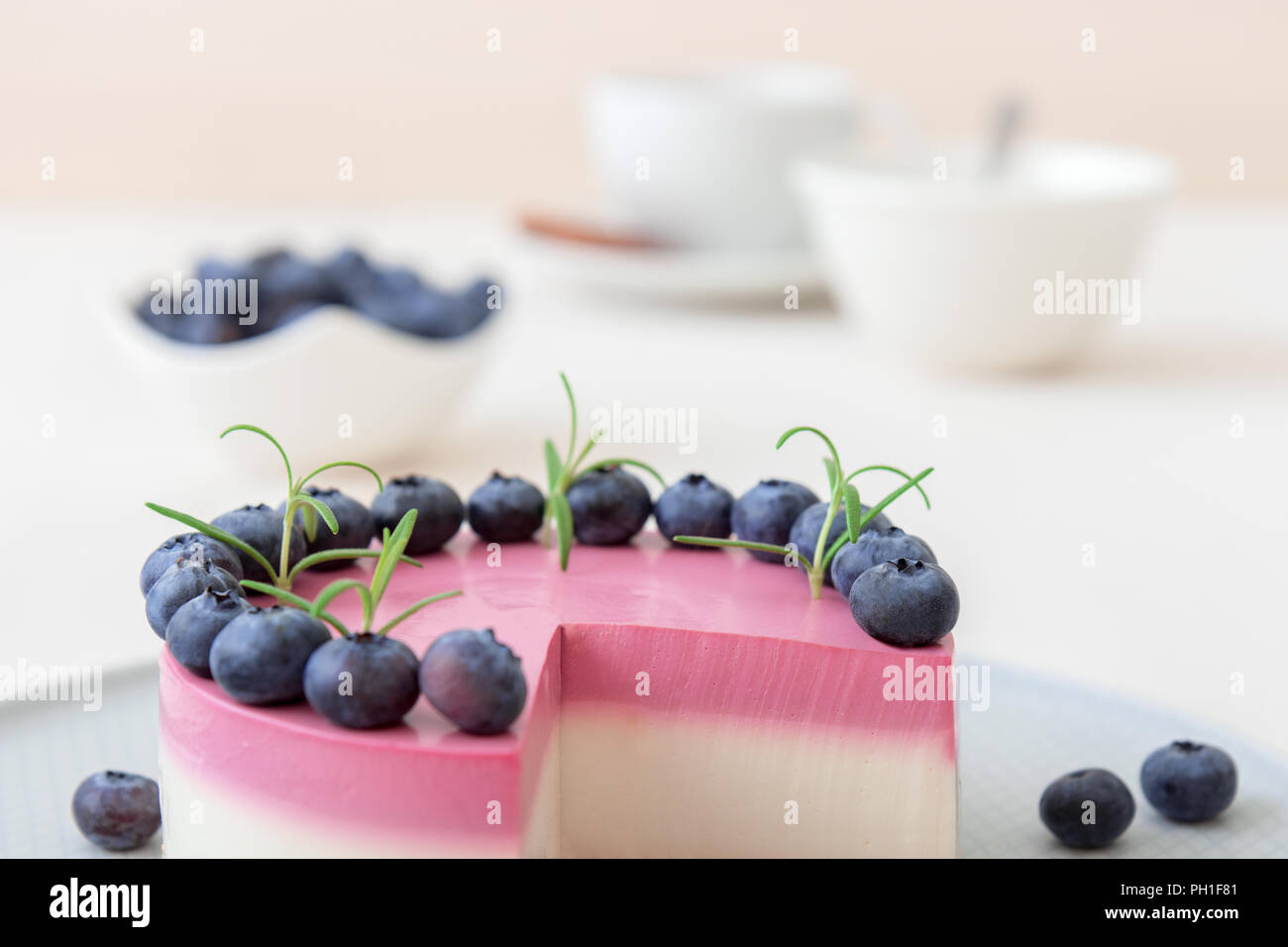 The two-color blueberry mini cheese cake. Round no bake cheesecake, cut ...