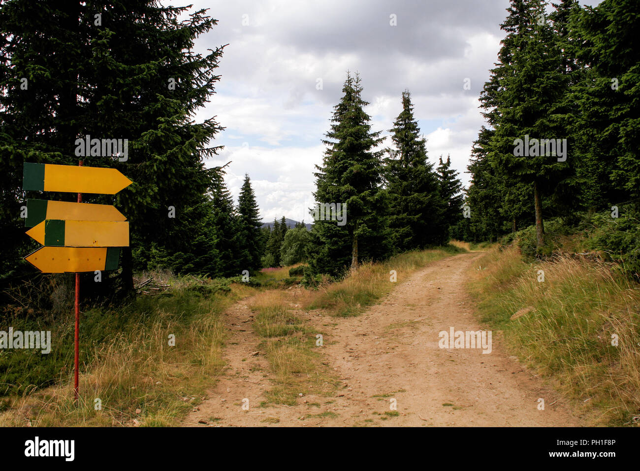 A signpost by the roadside in the nature of mountain forests. Signpost ...