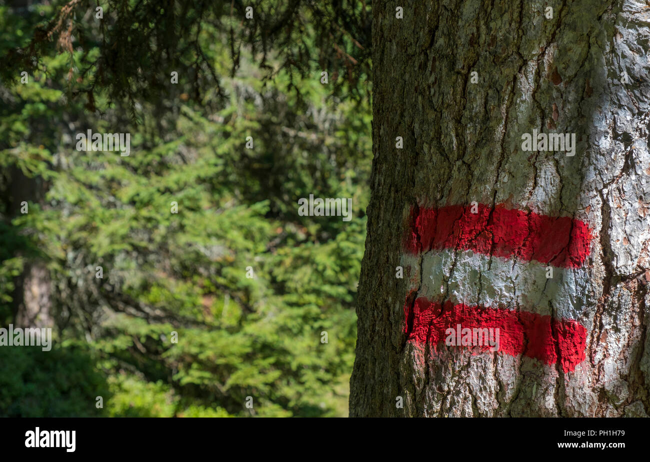 Red blaze trail marker hi-res stock photography and images - Alamy