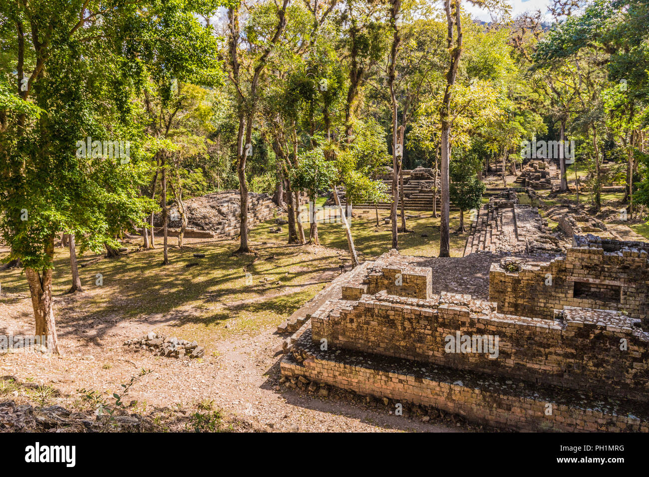 Honduras copan statue hi-res stock photography and images - Alamy