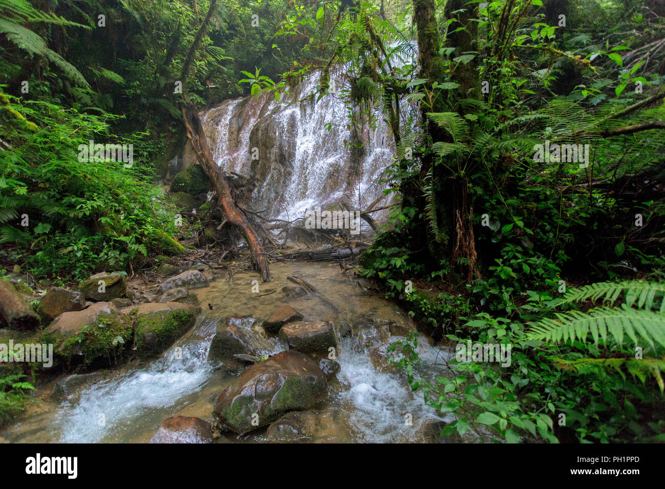 Gede Volcanoes, West Java, Indonesia Stock Photo - Alamy
