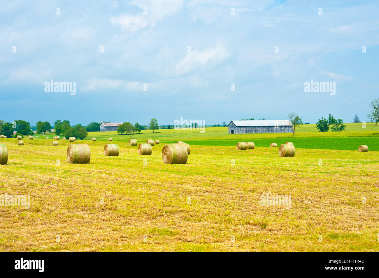 Hayfield and Barns Stock Photo - Alamy