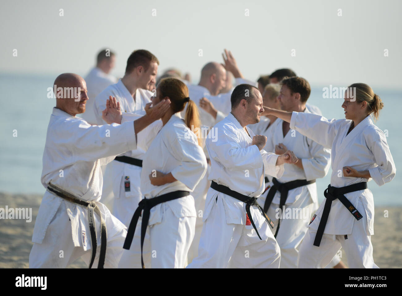 group of shotokan karatekas practicing at the beach in the morning sun ...