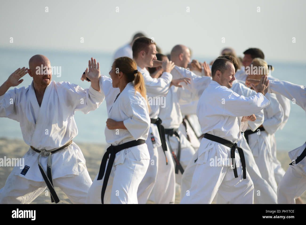 Bunkai hi-res stock photography and images - Alamy