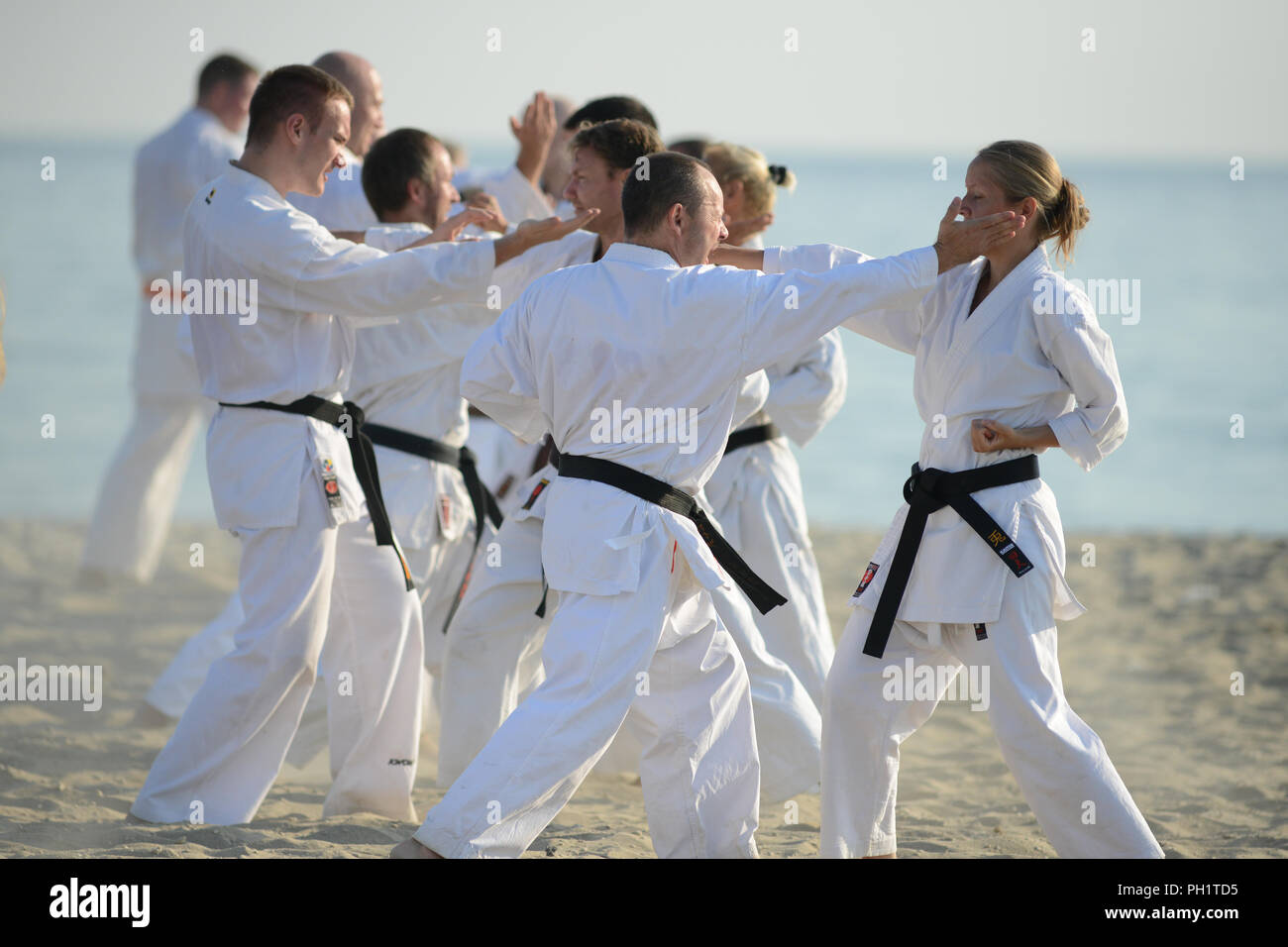 group of shotokan karatekas practicing at the beach in the morning sun ...