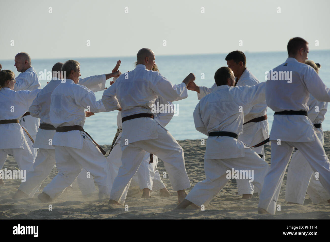 group of shotokan karatekas practicing at the beach in the morning sun ...