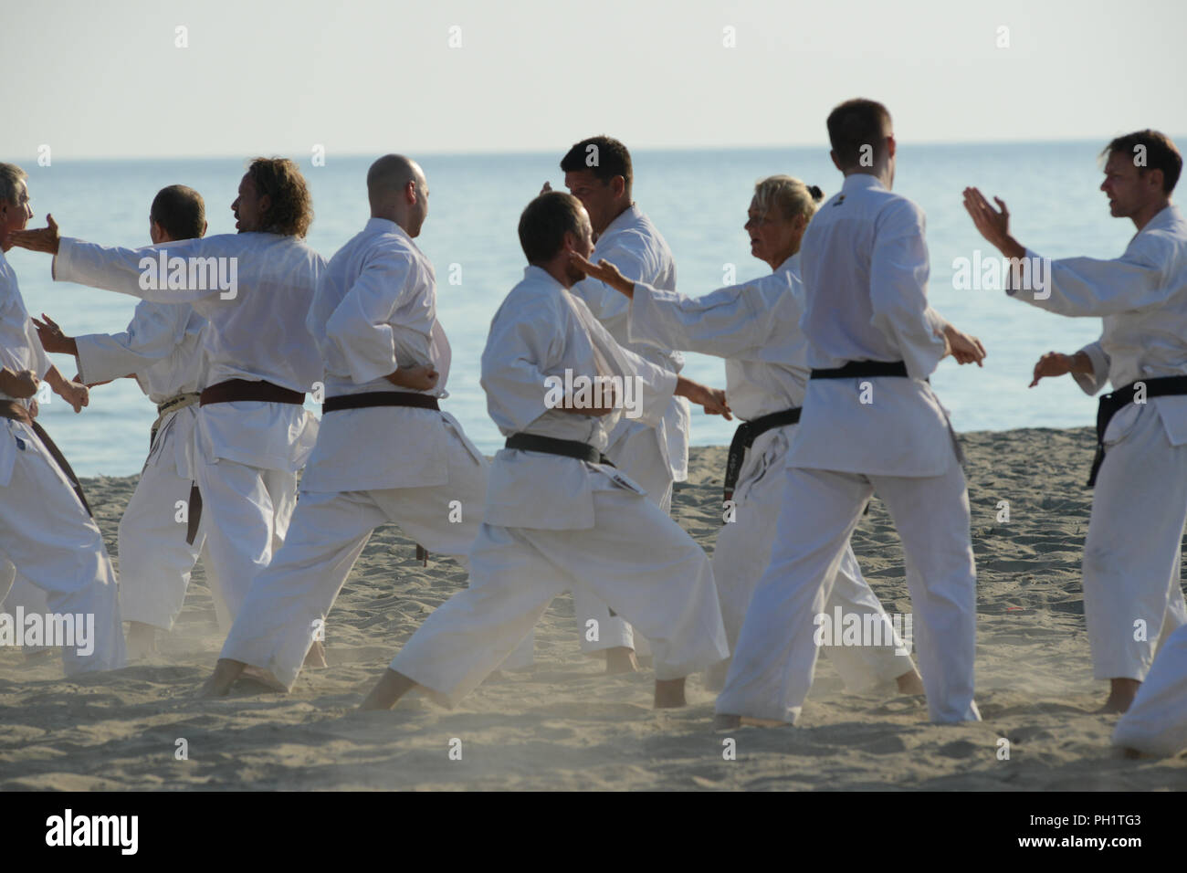 group of shotokan karatekas practicing at the beach in the morning sun ...