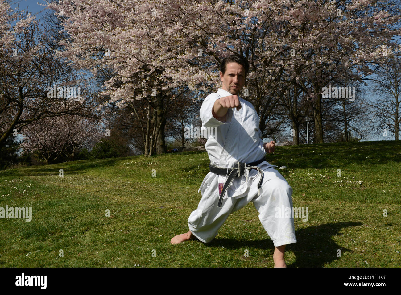 Karate Master showing his art in front of a blooming cherry tree Stock ...