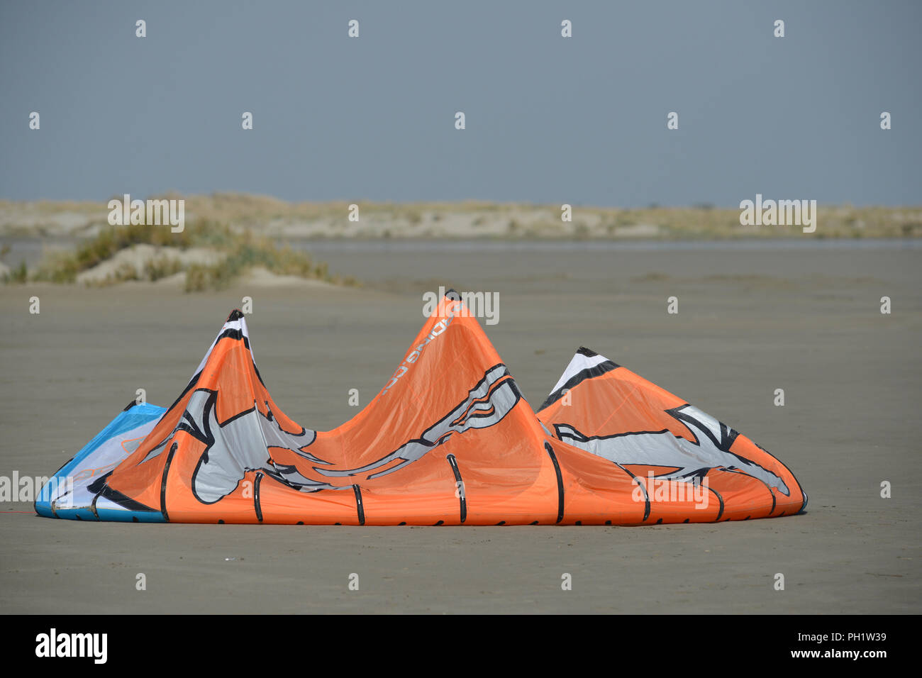 kite at the beach Stock Photo - Alamy