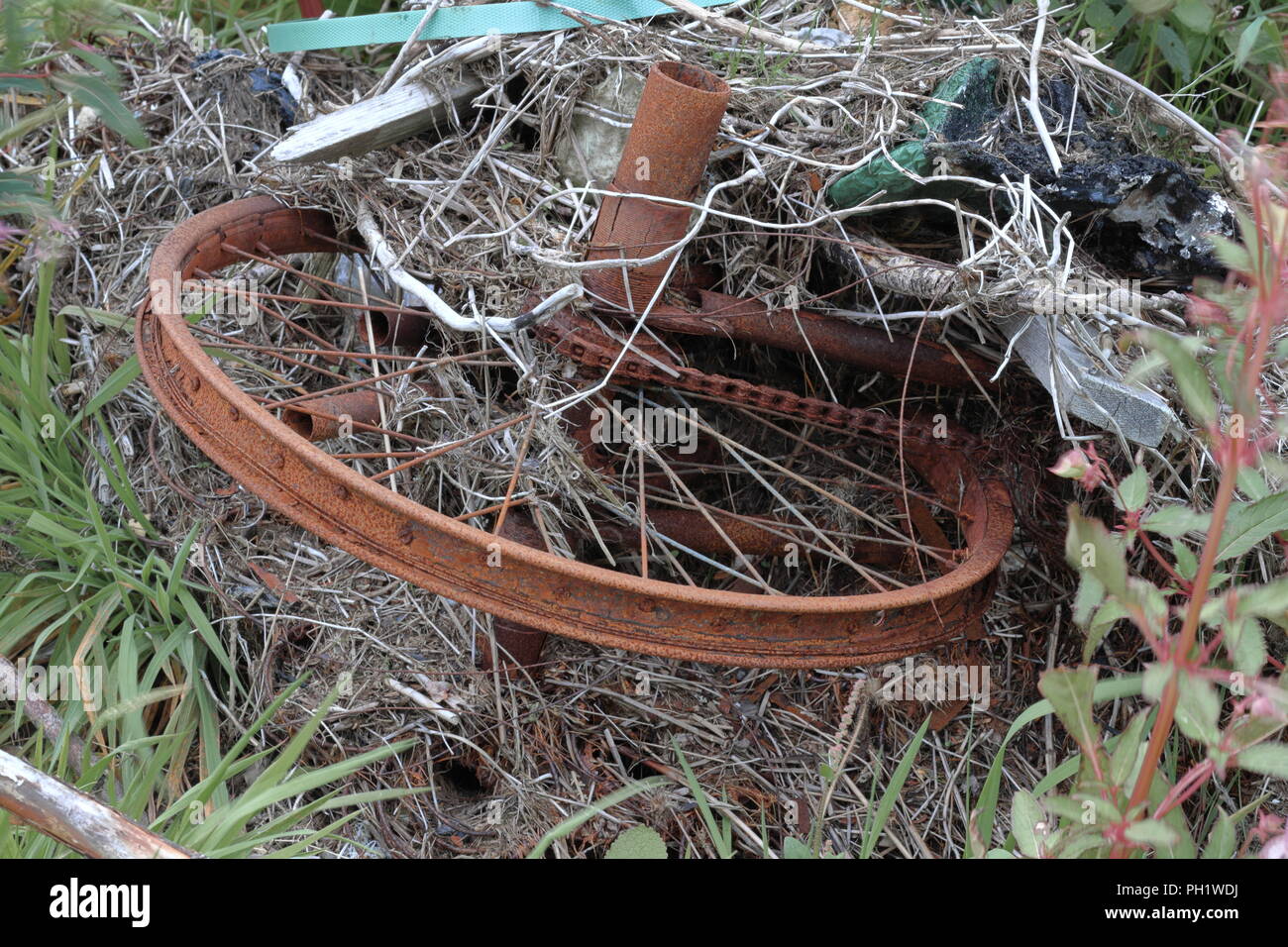 Old rusted bike Stock Photo - Alamy