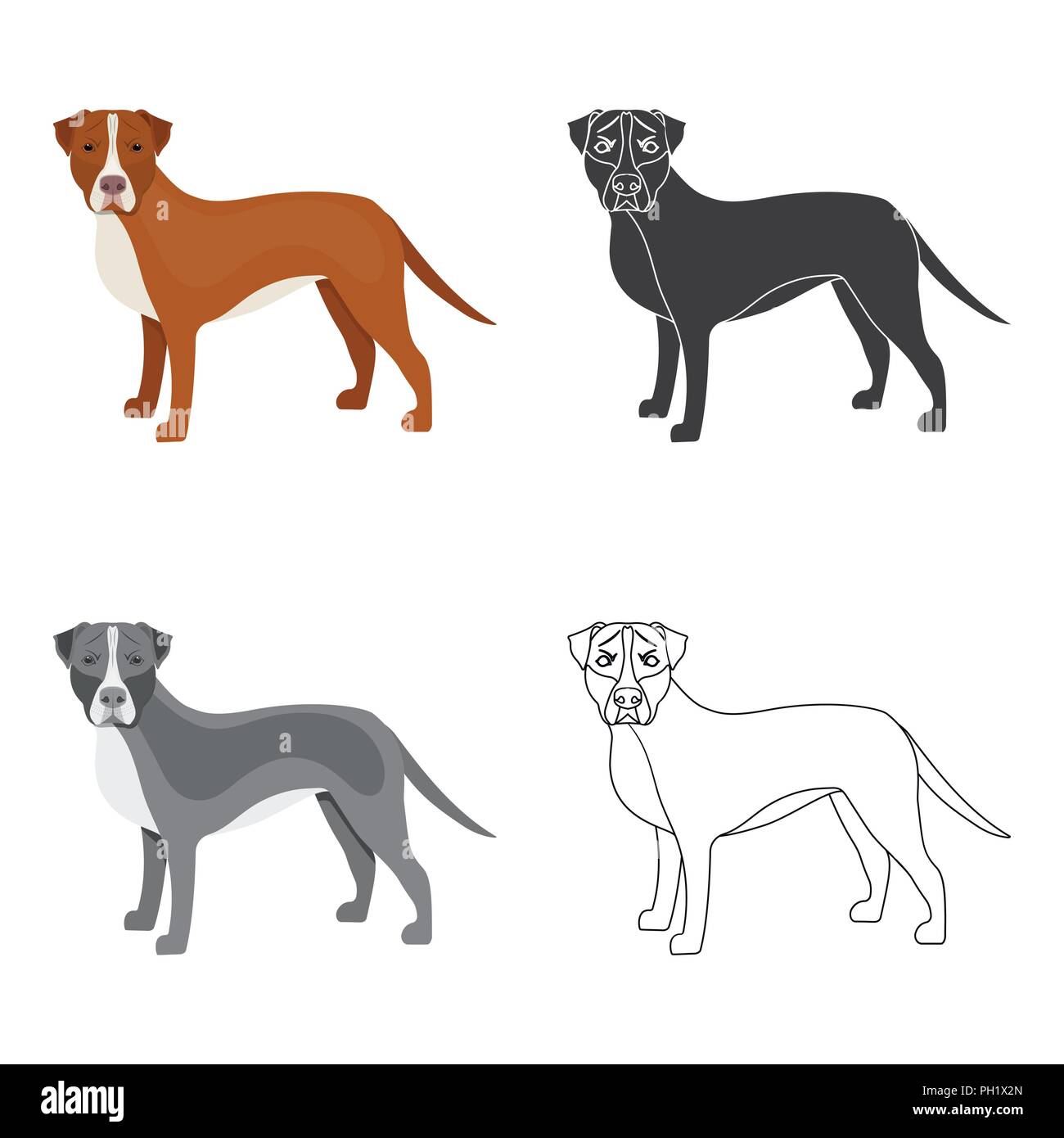 Labrador, single icon in cartoon style.Labrador, vector symbol stock ...