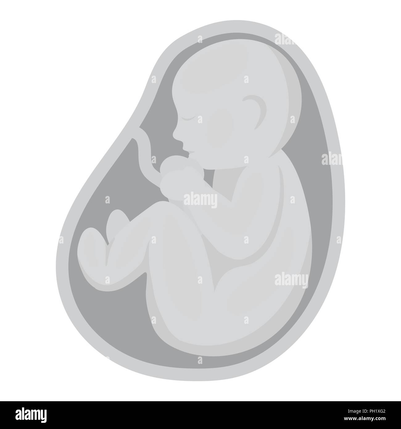 Fetus icon in monochrome style isolated on white background. Pregnancy ...
