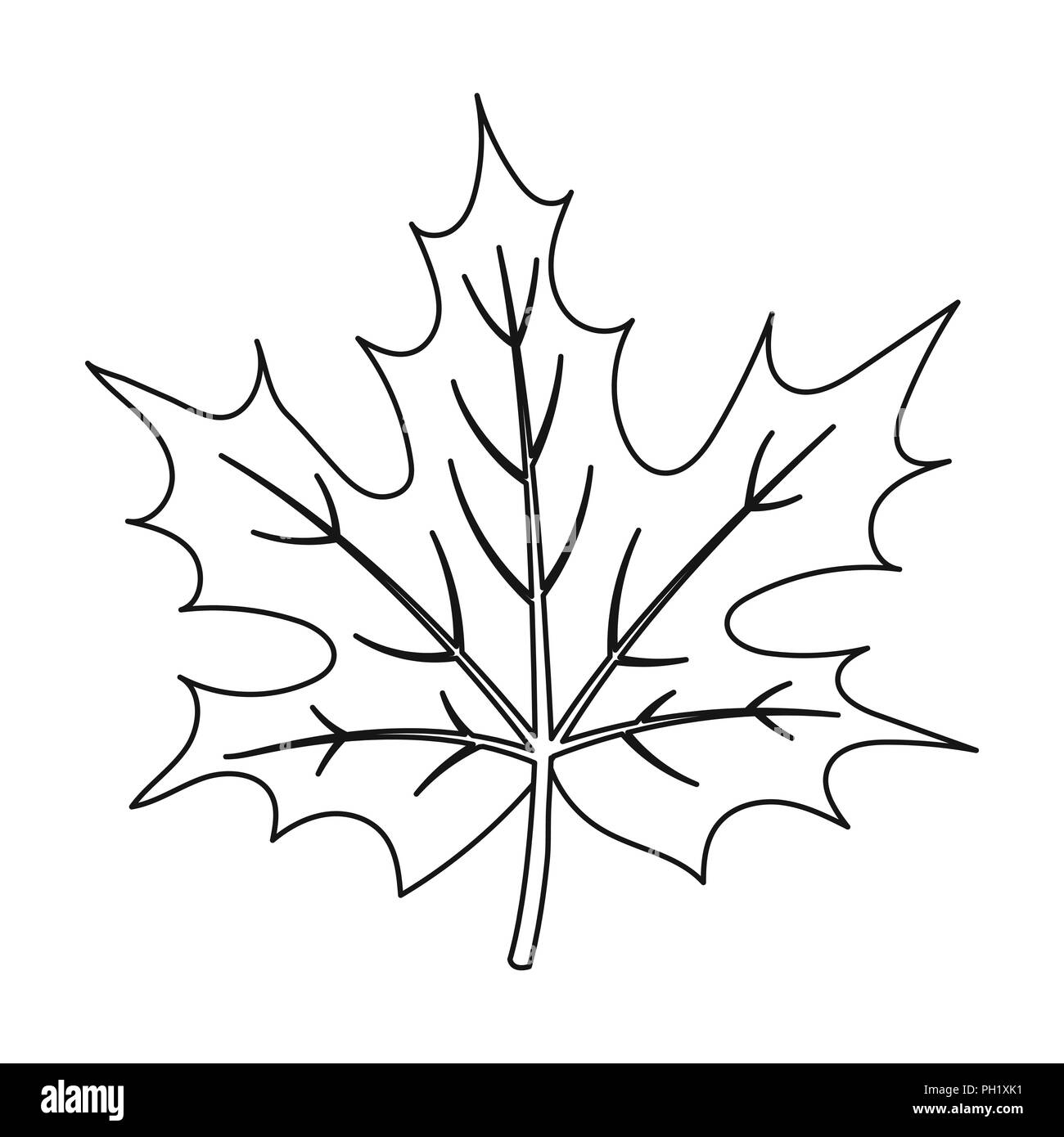 Maple leaf icon in outline style isolated on white background. Canadian ...