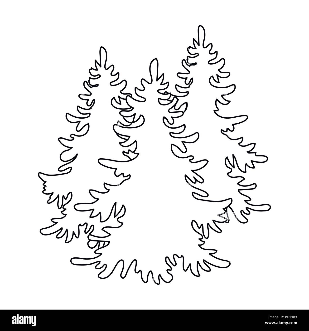Canadian spruce. Canada single icon in outline style vector symbol ...