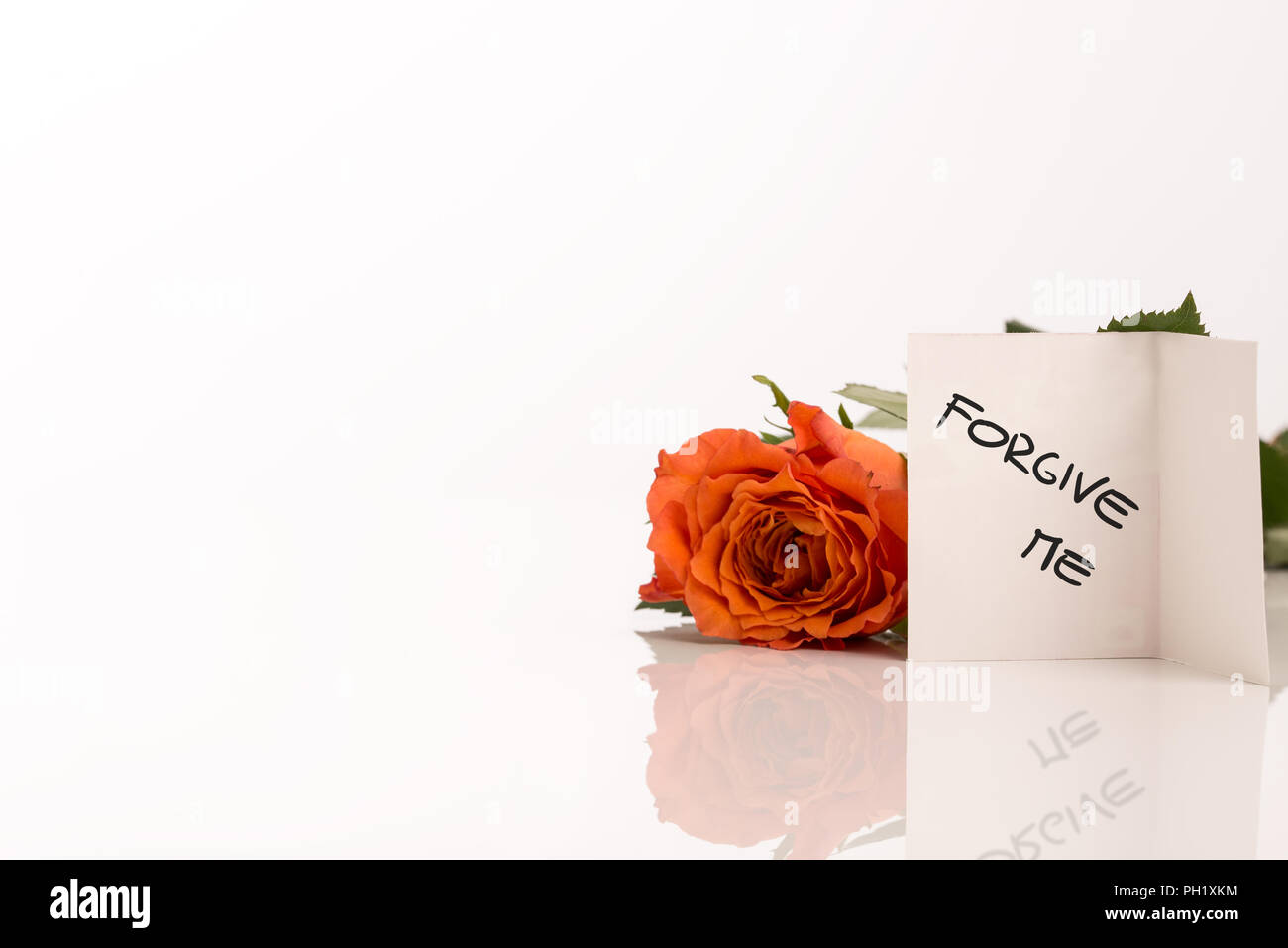 Small White Forgive Me Card Beside Fresh Orange Rose Flower with Copy ...
