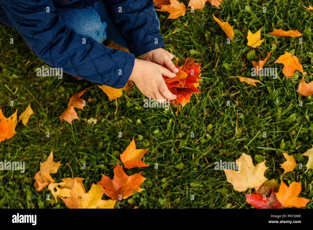 Kids play in autumn park. Children throwing yellow and red leaves ...