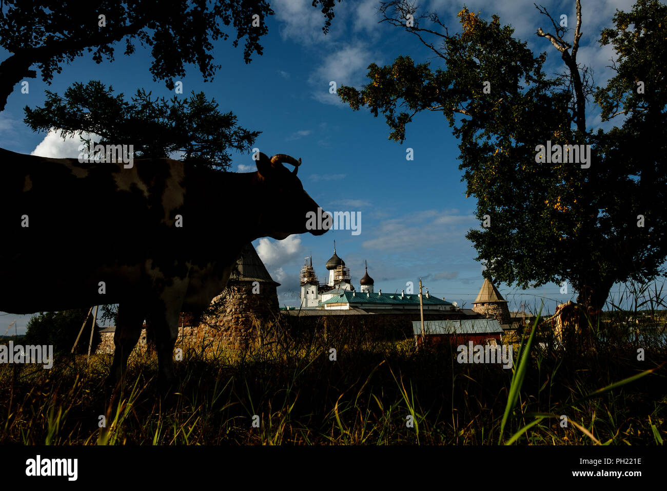 Beautiful russian Solovki Monastery at summer day Stock Photo - Alamy
