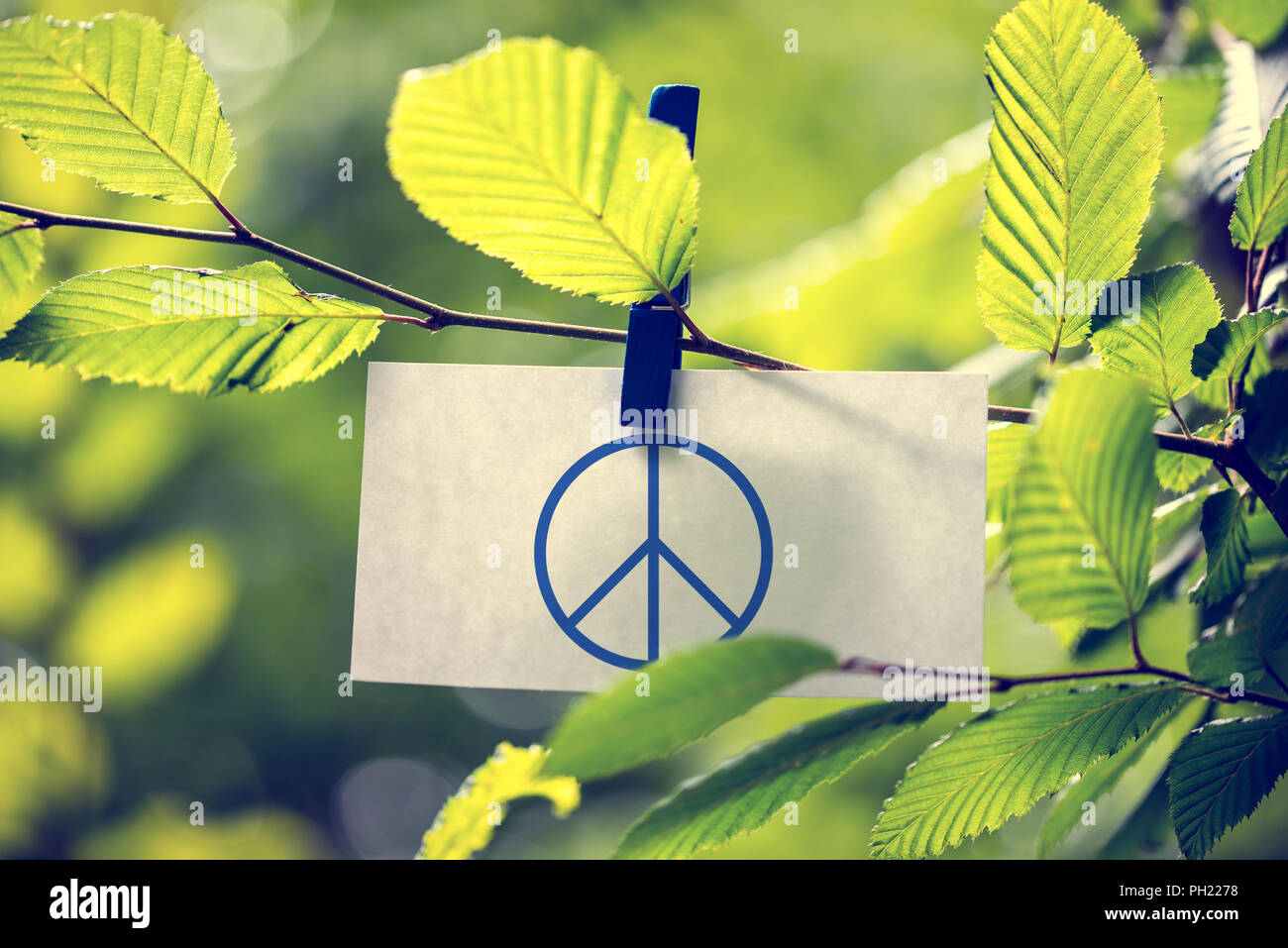 Peace concept with a peace sign attached to a twig of fresh green ...