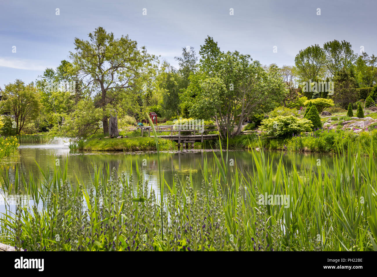 Bright sky over pond hi-res stock photography and images - Alamy