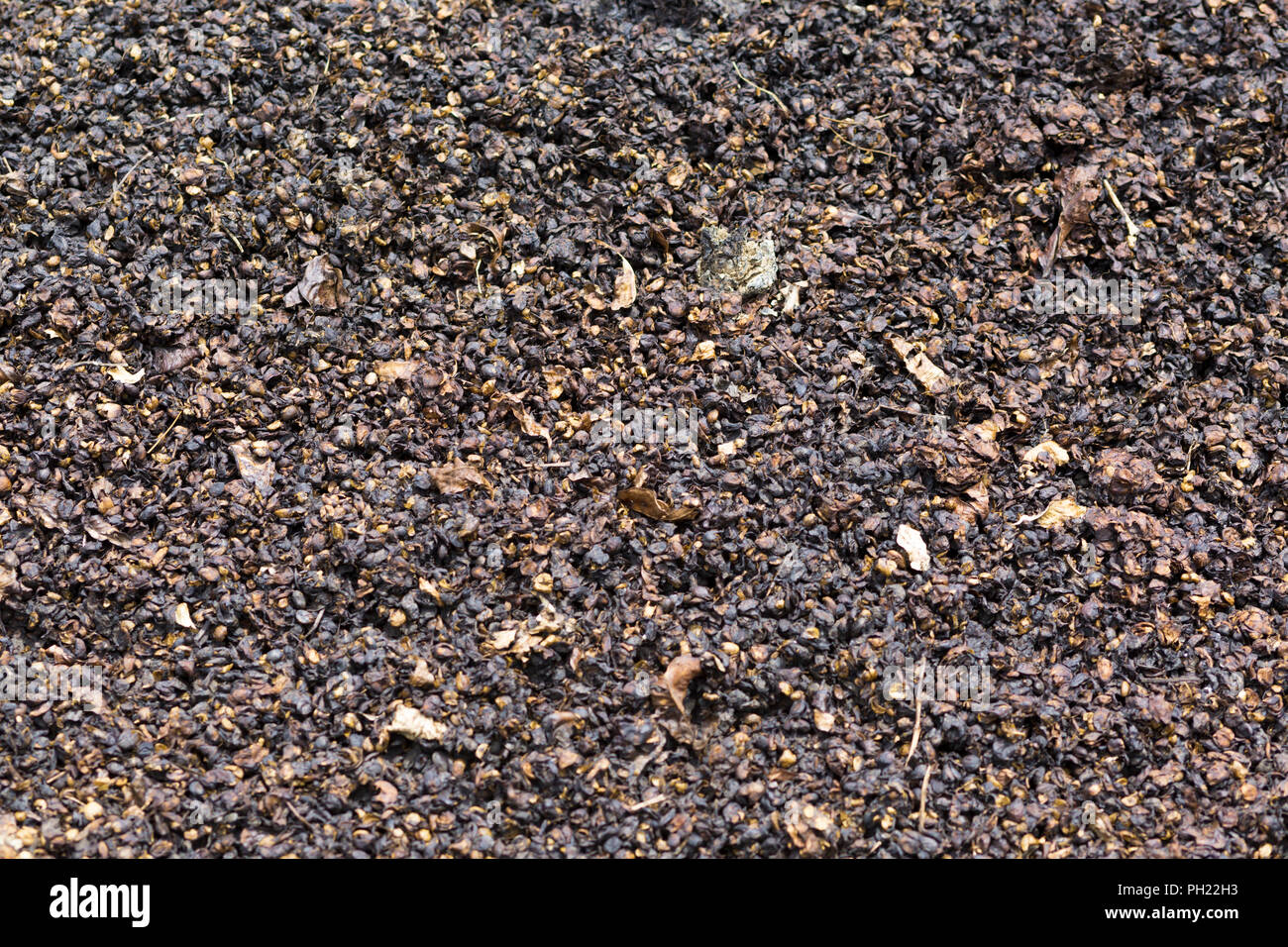 Pile of Soil Humus Ready, Rotten Fruit on Ground made compost Stock ...