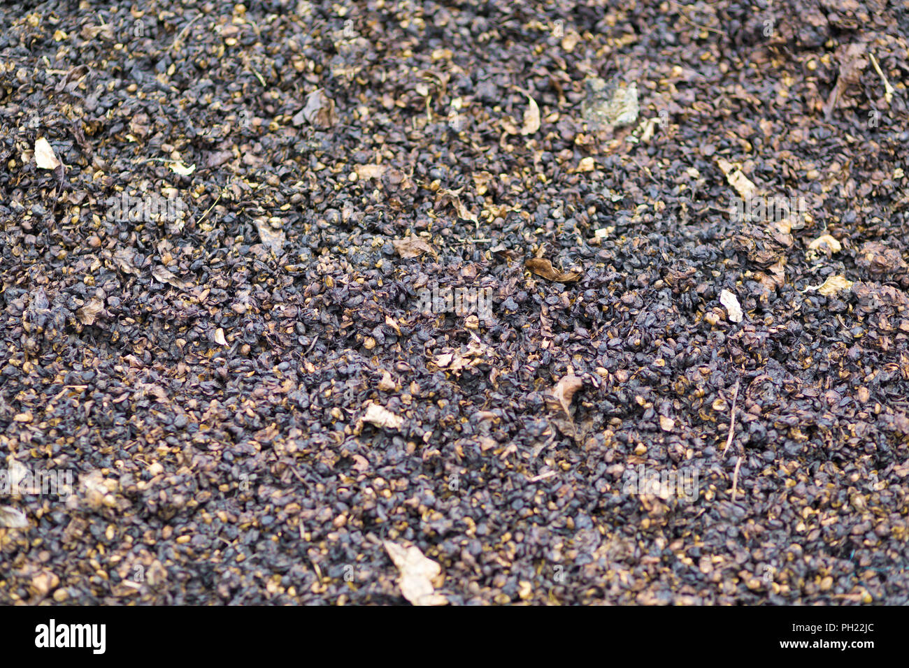 Bio humus hi-res stock photography and images - Alamy