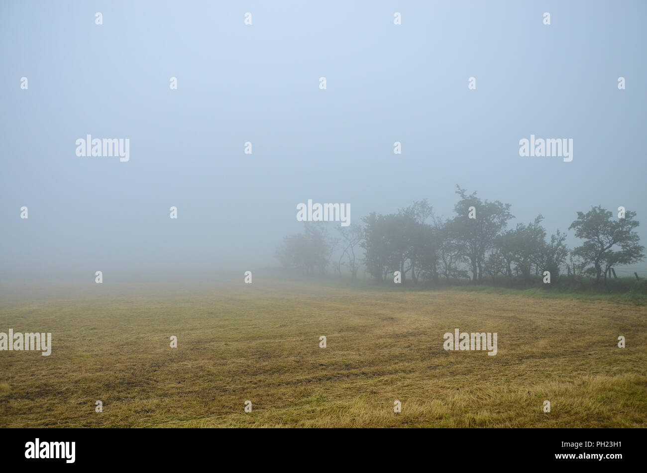 Ireland farm field fields hi-res stock photography and images - Alamy