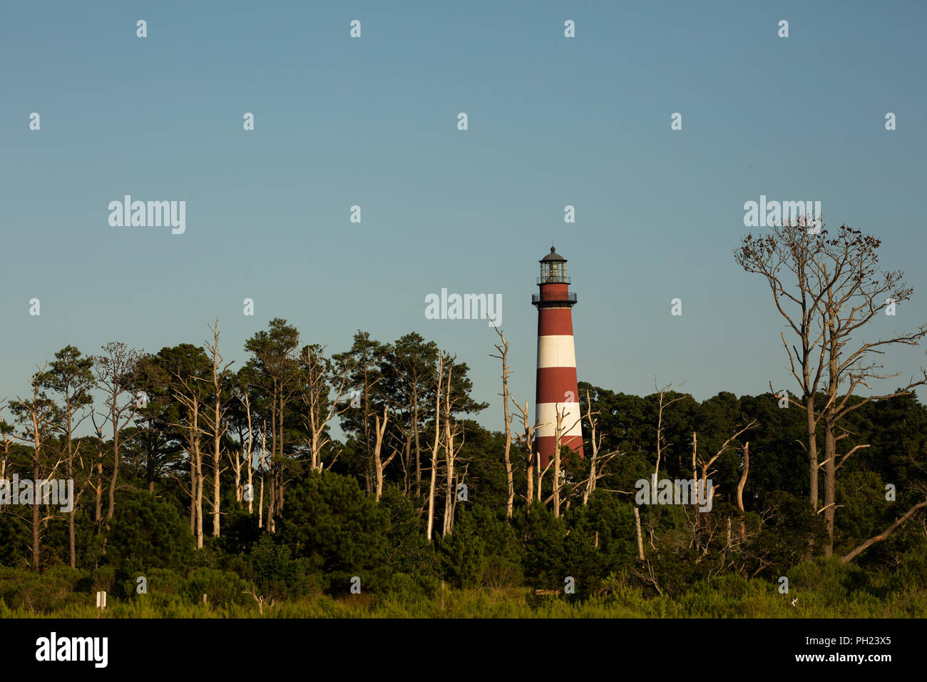 Lighthouse on assateague island hi-res stock photography and images - Alamy