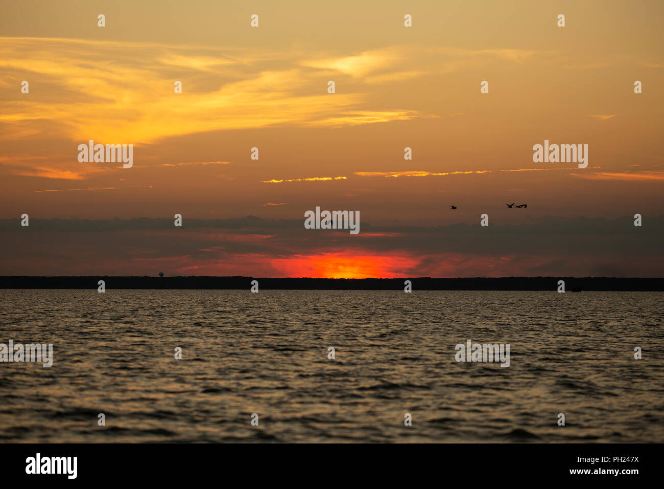 Chincoteague hi-res stock photography and images - Alamy