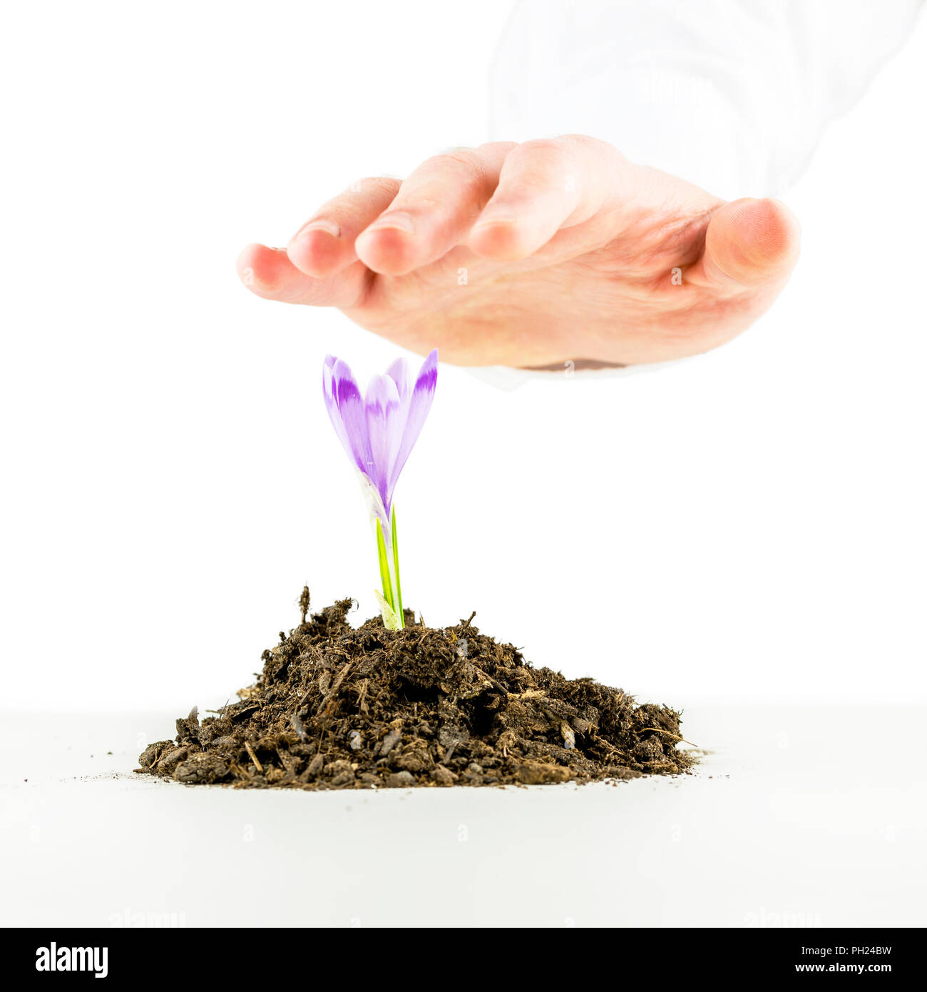 Conceptual image of ecological awareness and renewal with a male hand ...