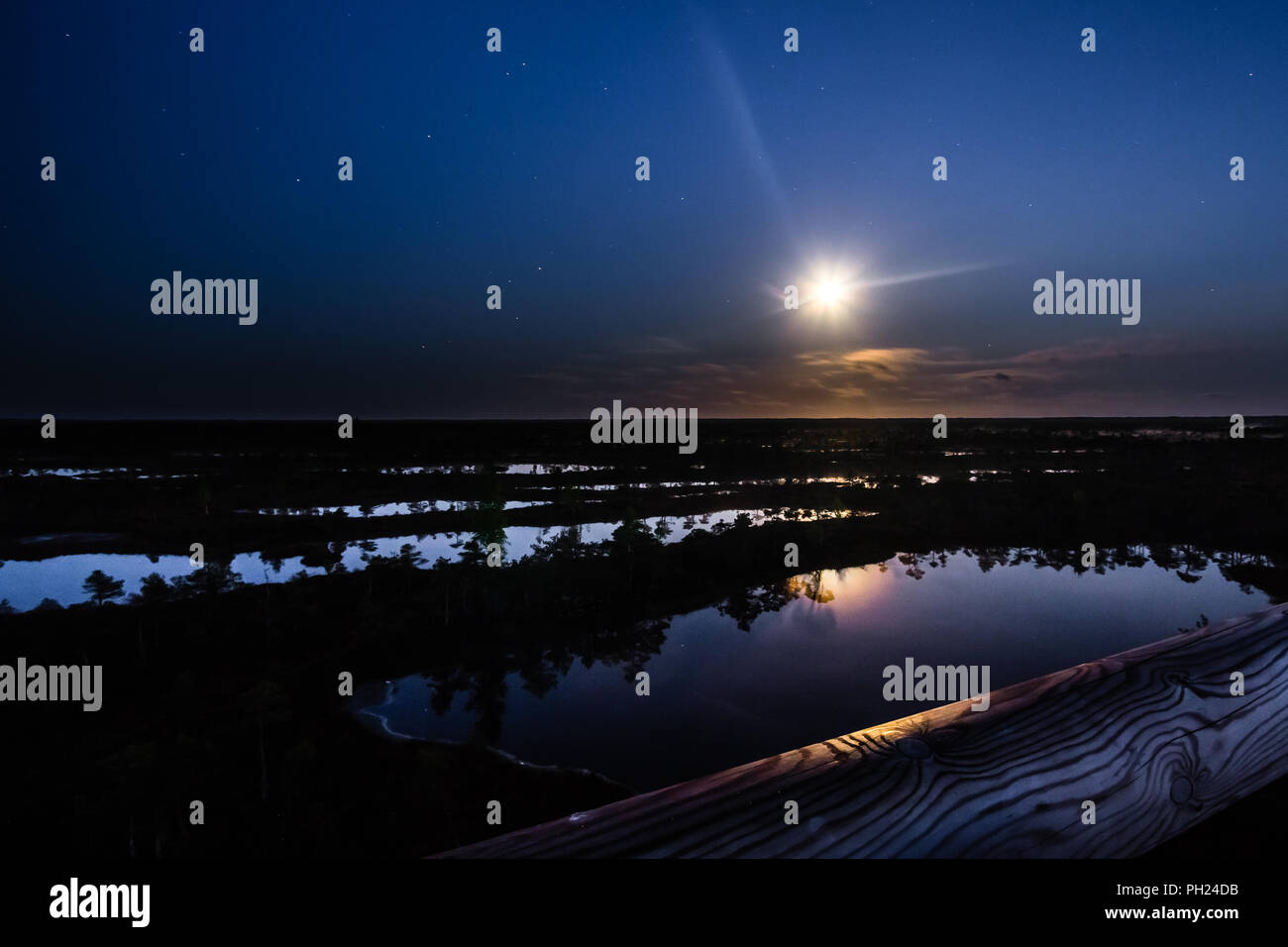 Kemeru swamp hi-res stock photography and images - Alamy