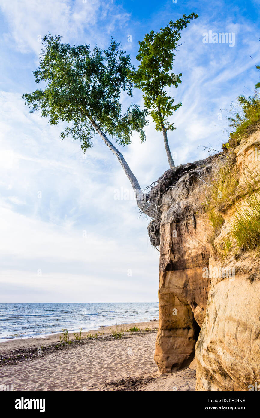 Sand Dune in Latvia, Tuja city. The Baltic sea beach Stock Photo - Alamy
