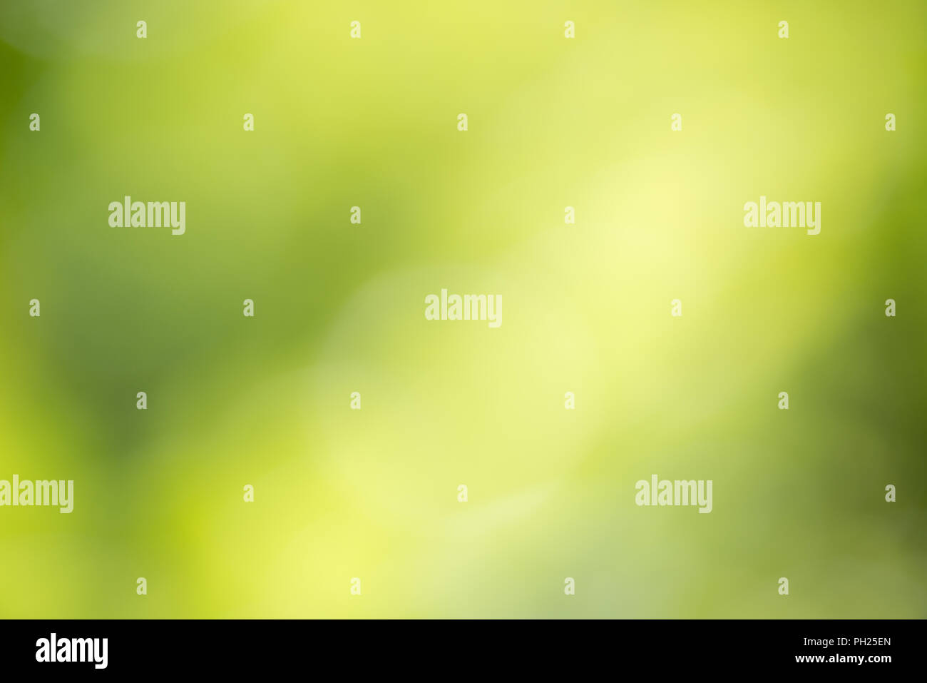 Fresh pure green background blur for bio, eco or nature related ...