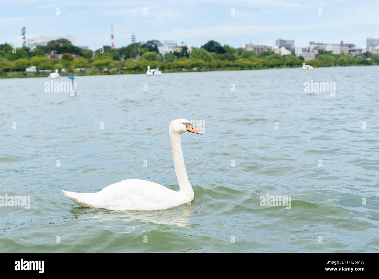 Senba park mito hi-res stock photography and images - Alamy