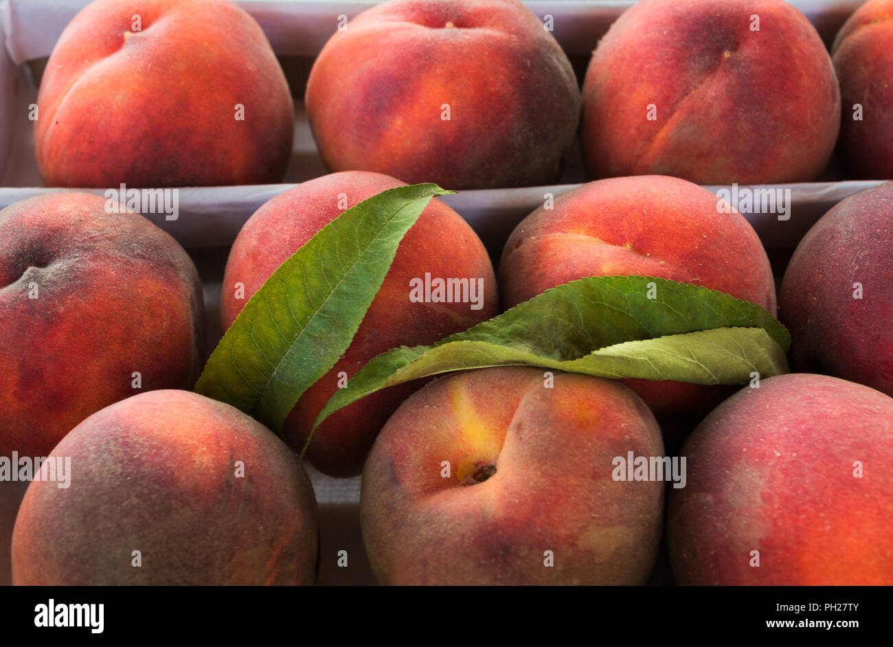 Fresh red freestone peach background as abundance harvest symbol ...