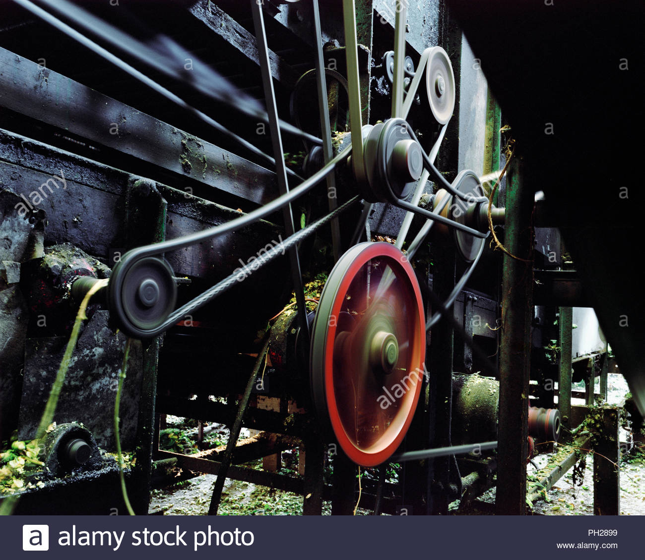 Hop Picking Stock Photos & Hop Picking Stock Images - Alamy
