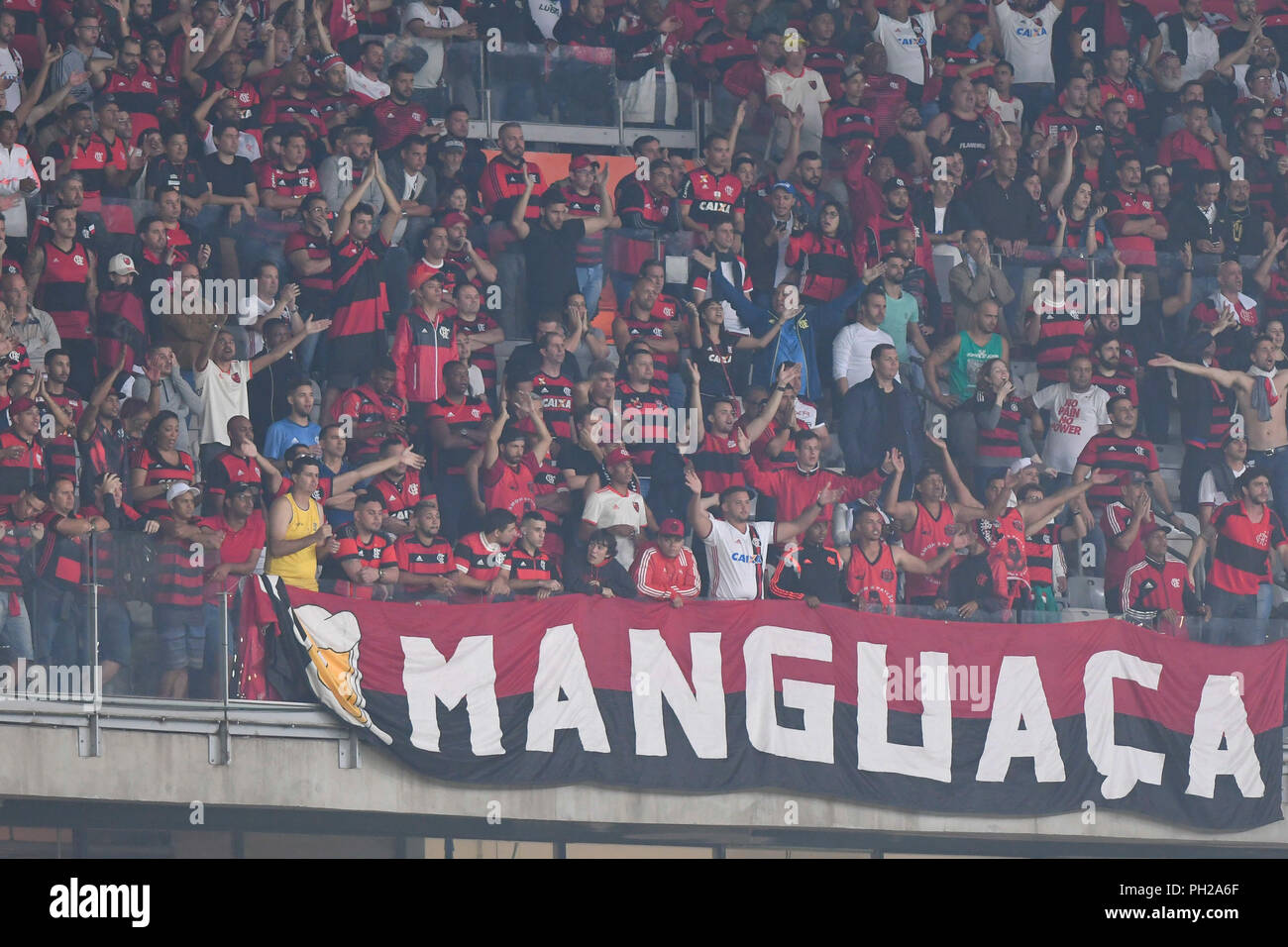 Belo Horizonte, Brazil. 29th Aug, 2018. Flamengo fan during a match ...